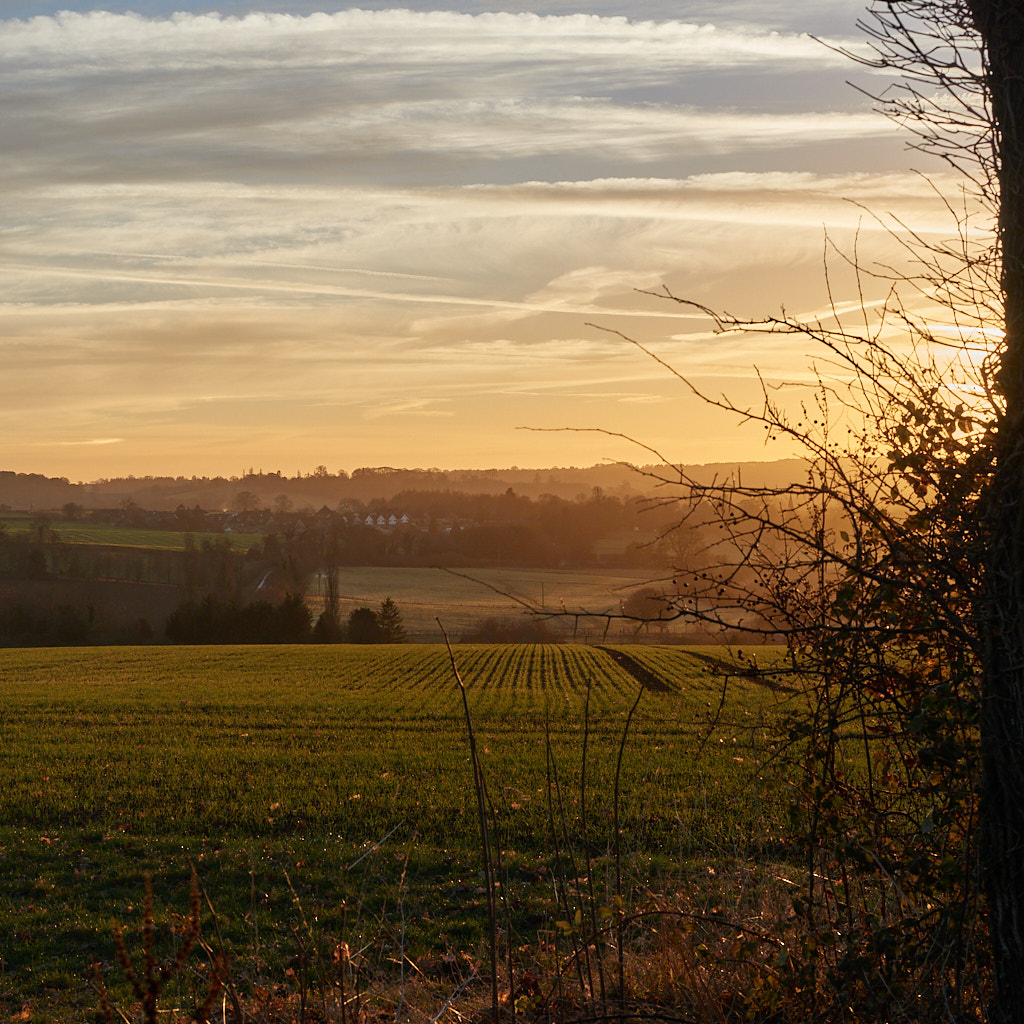 Writing Your Own Psalm Based on Psalm 136 » Ruth Traynar